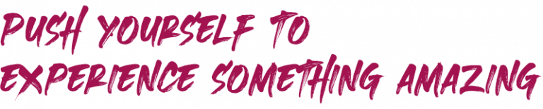 Treetop Trekking Miami - Get Wild