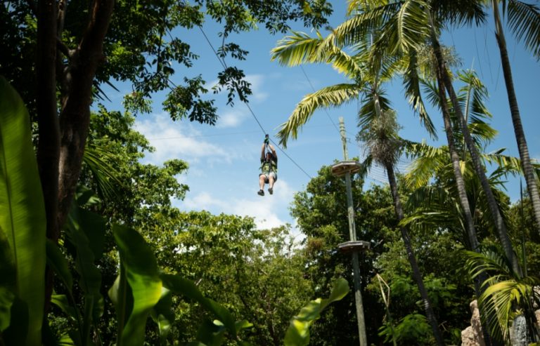 Treetop Trekking Miami - Get Wild
