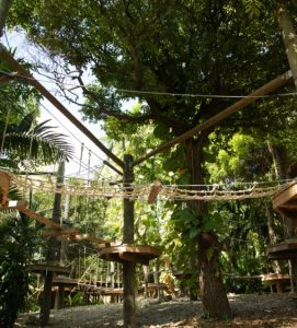 Treetop Trekking Miami - Fun Adventures in Miami Florida