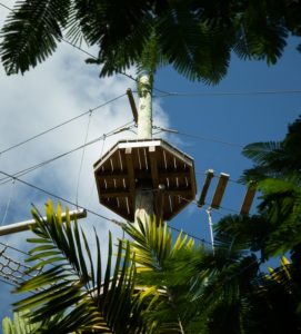 Treetop Trekking Miami - Fun Adventures in Miami Florida