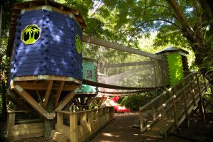 Treetop Trekking Miami - Get Wild