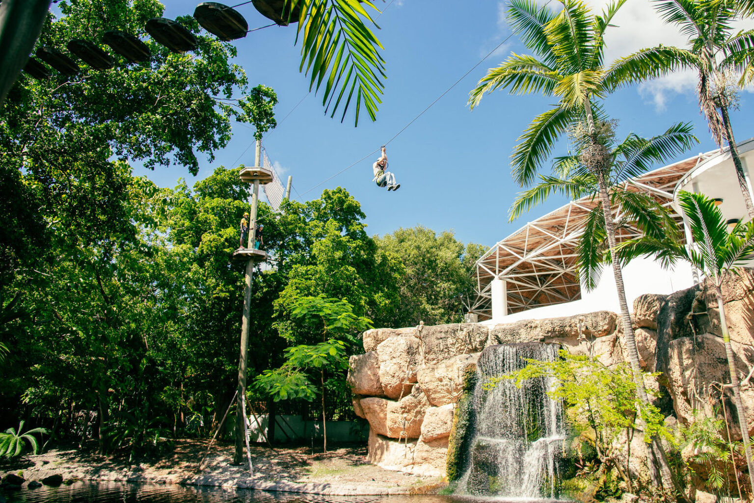 Fun Activities at Treetop Trekking Miami - South Florida