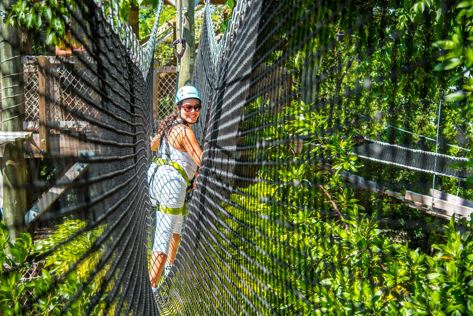 Contact Treetop Miami - We are happy to help!