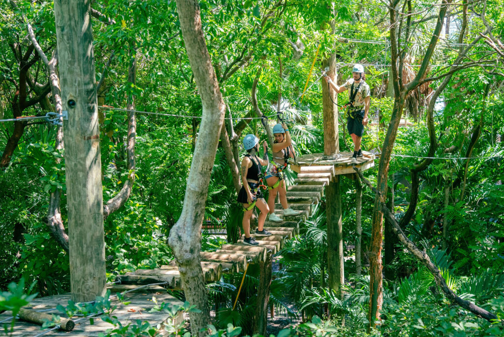 Treetop Trekking Miami - Fun Adventures in Miami Florida